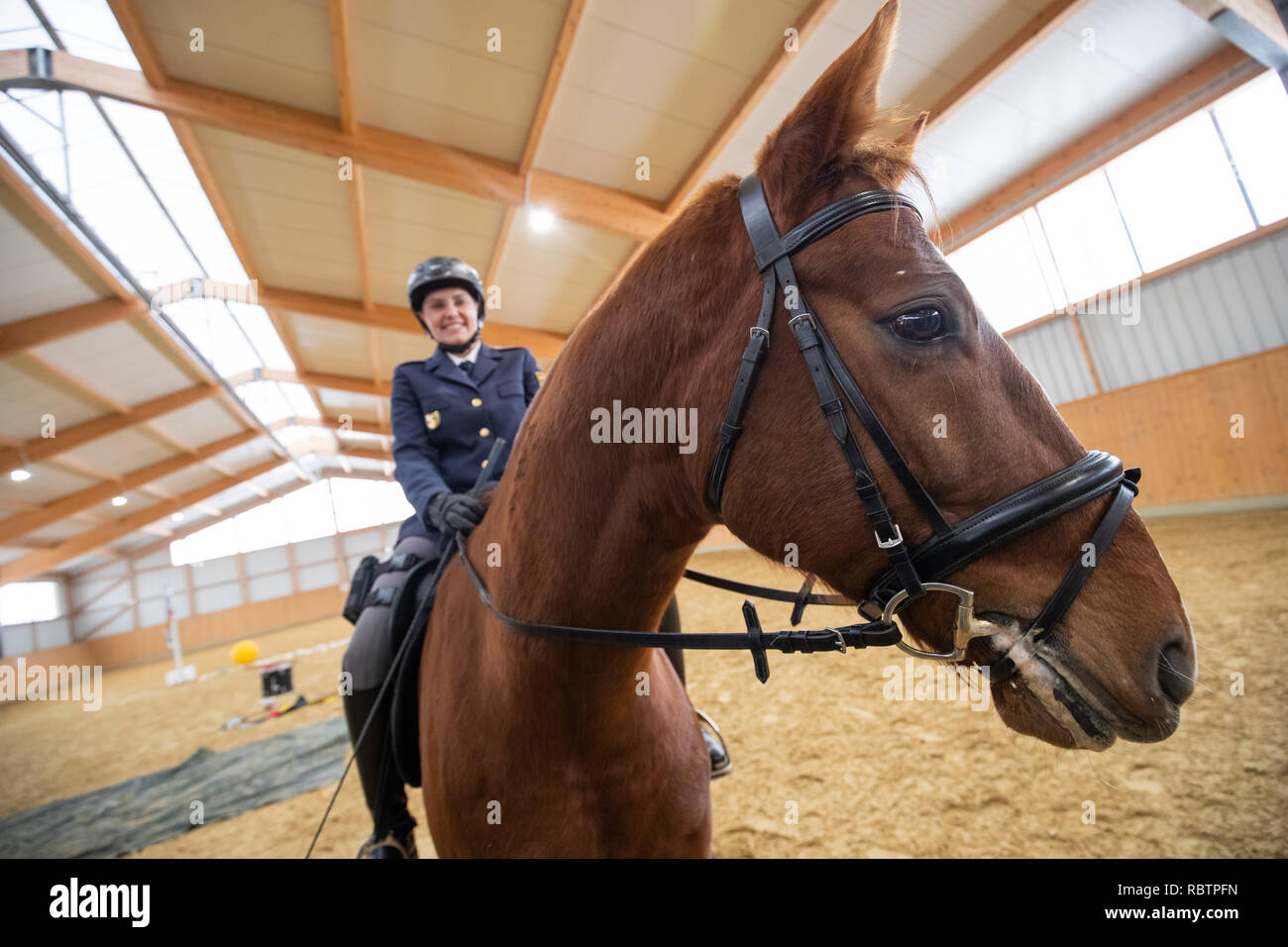 Numberg, Deutschland. 11 Jan, 2019. Bianca Hilgart, der Leiter der ...