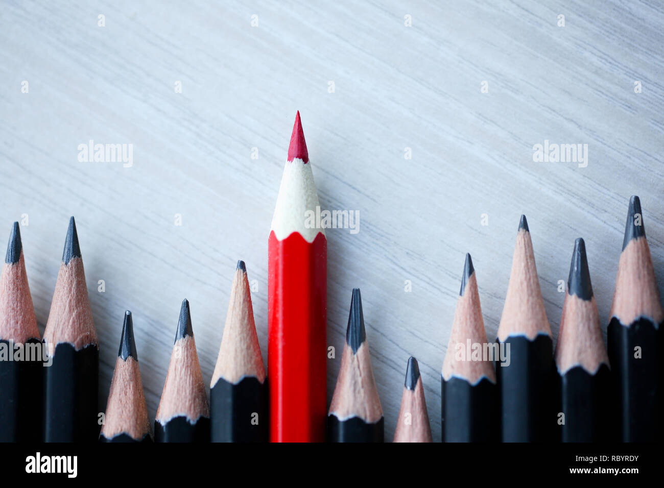 Bemerkenswert für seine unverwechselbar -Fotos und -Bildmaterial in ...