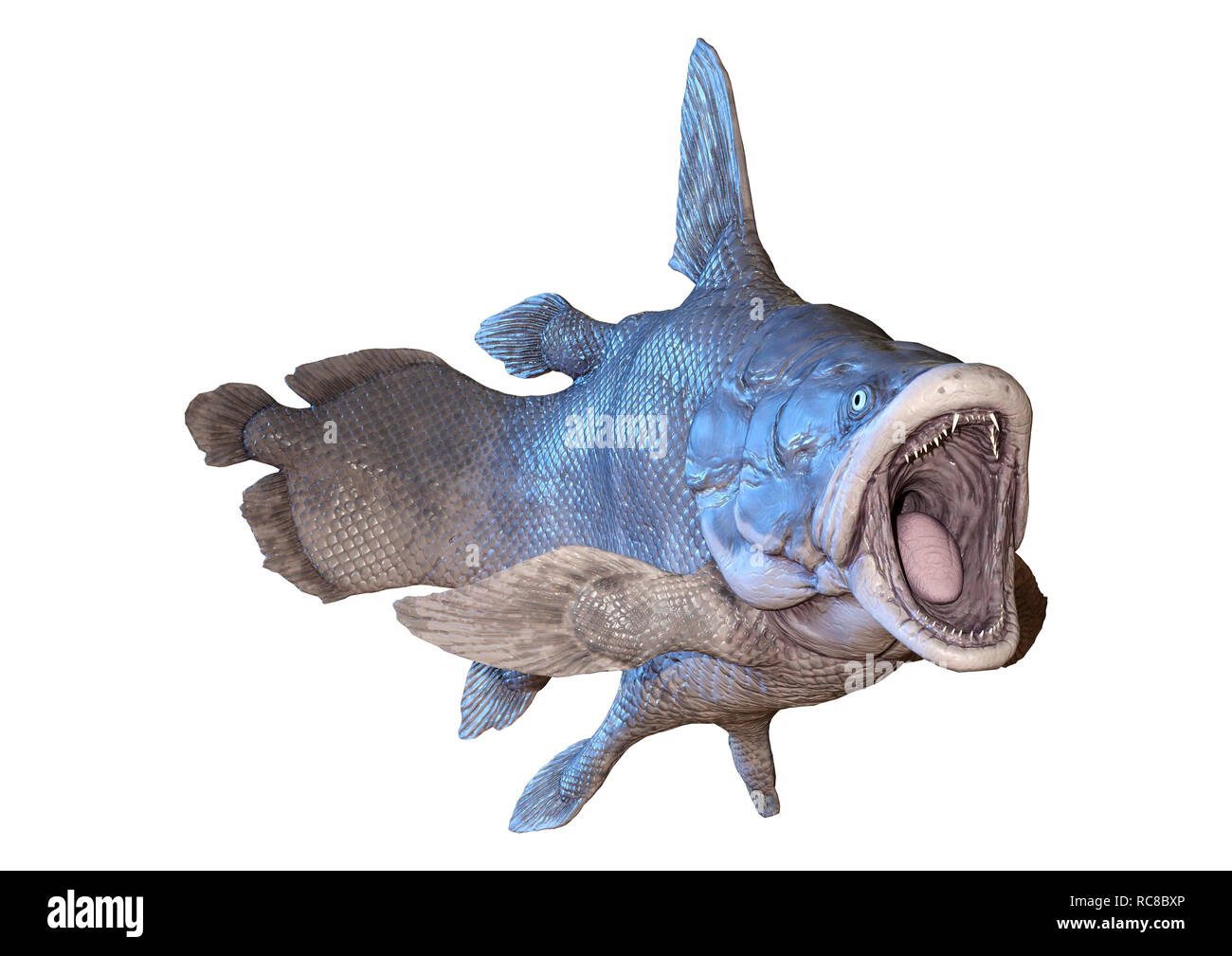 3D-Rendering für eine Mawsonia, eine ausgestorbene Gattung der ...