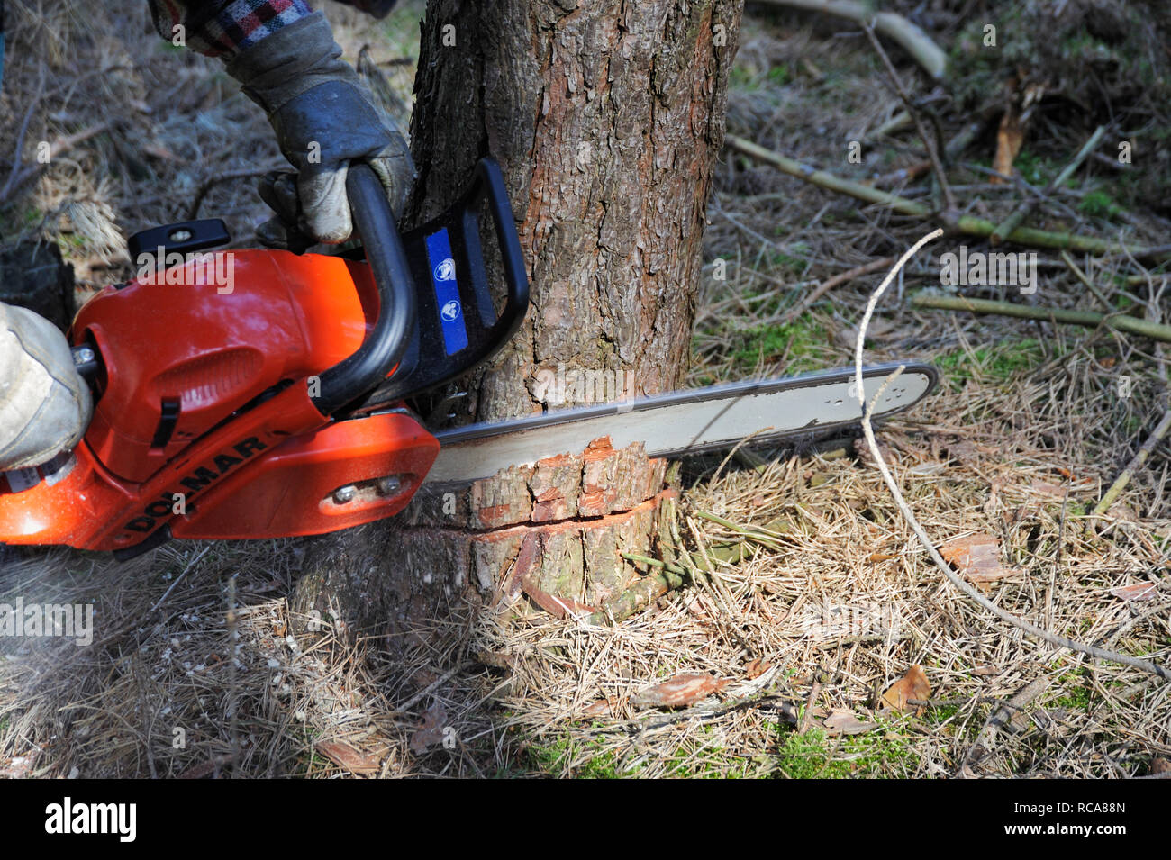 Holzfäller bei der Arbeit im Wald | Holz Feller im Wald arbeiten ...