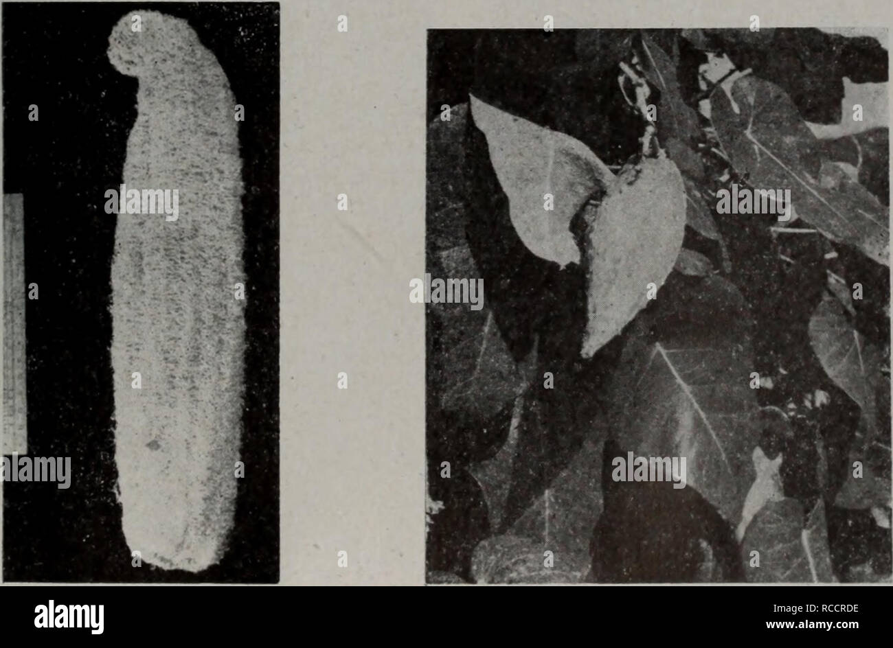 Tu 164 Stockfotos und -bilder Kaufen - Alamy