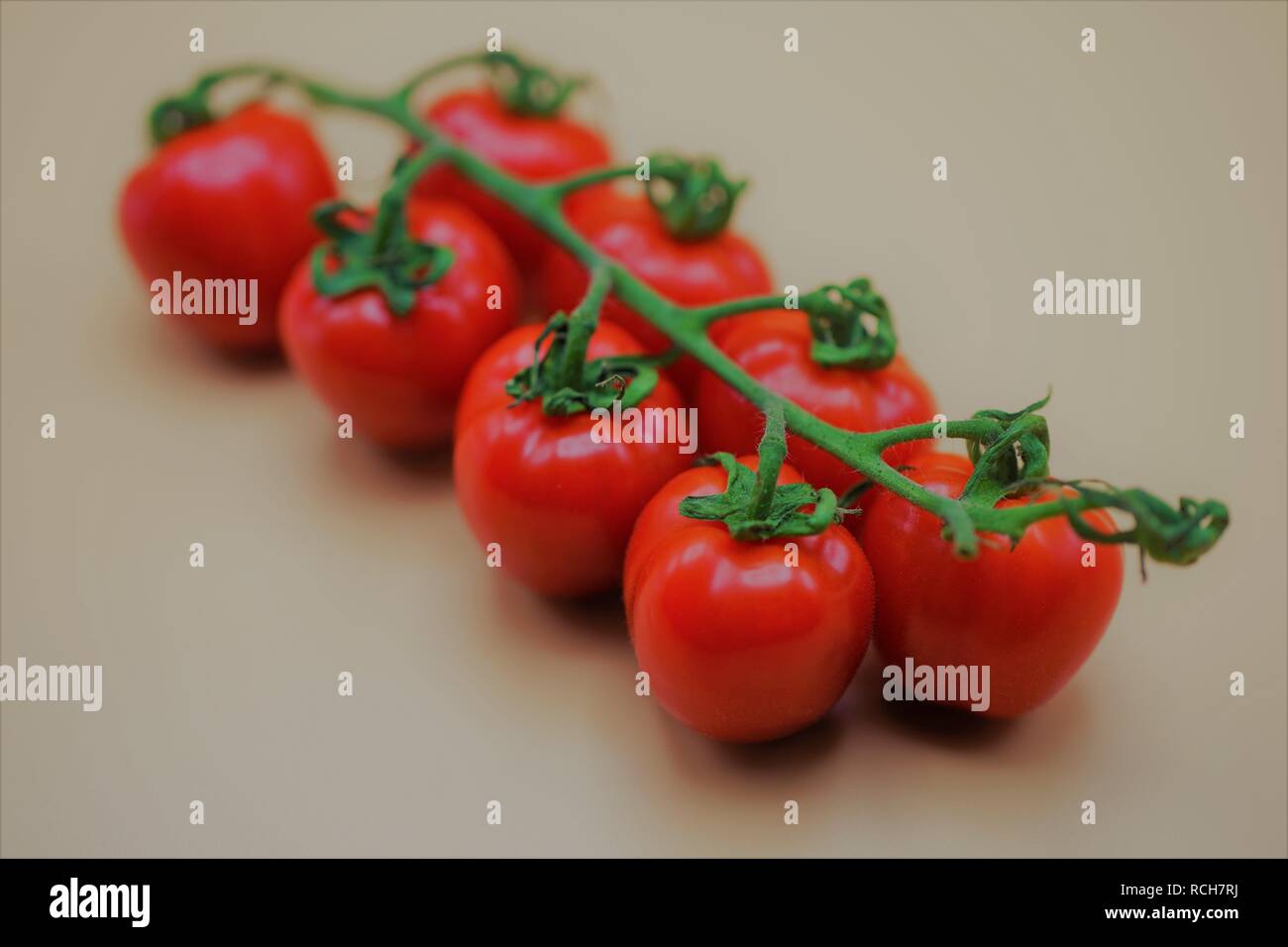 Mini tomaten -Fotos und -Bildmaterial in hoher Auflösung – Alamy