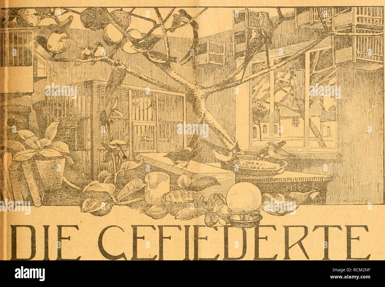 Rudolf bayer -Fotos und -Bildmaterial in hoher Auflösung – Alamy