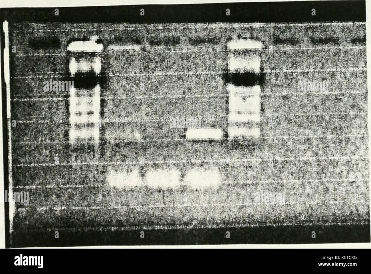 Individuelle reaktionen -Fotos und -Bildmaterial in hoher Auflösung ...