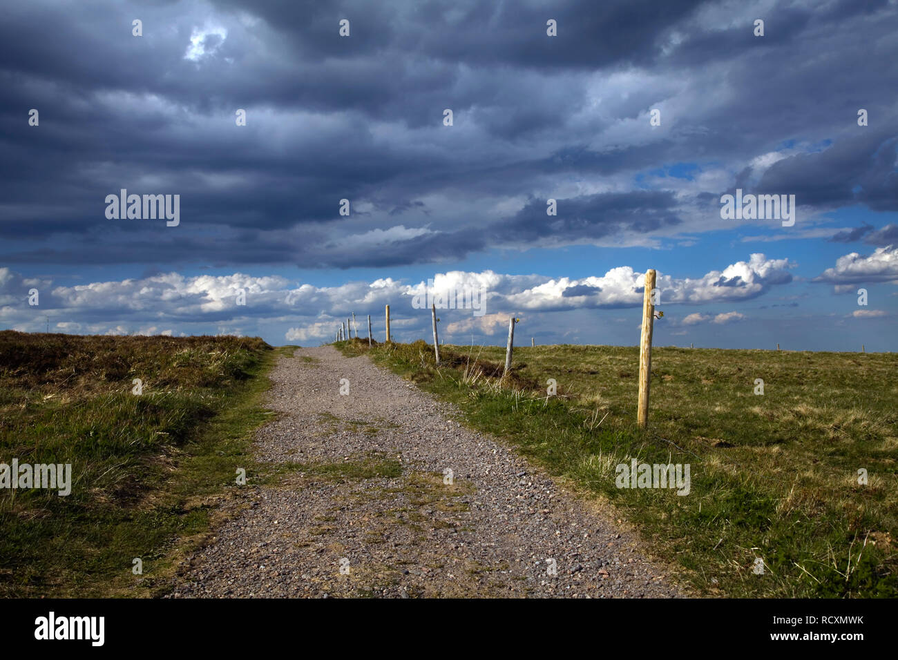 Weg in den wald -Fotos und -Bildmaterial in hoher Auflösung – Alamy