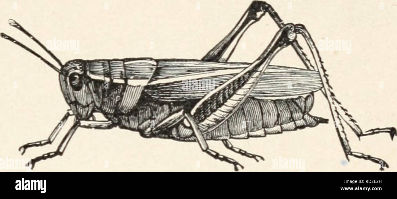 Biblischer begriff -Fotos und -Bildmaterial in hoher Auflösung – Alamy