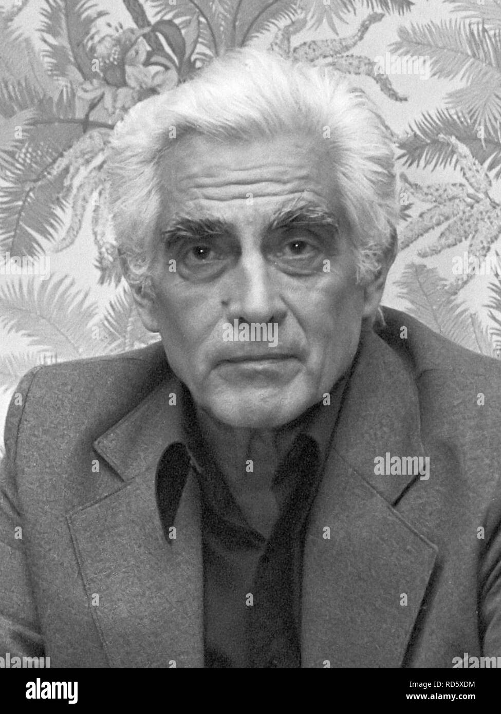 Alvaro cunhal -Fotos und -Bildmaterial in hoher Auflösung – Alamy