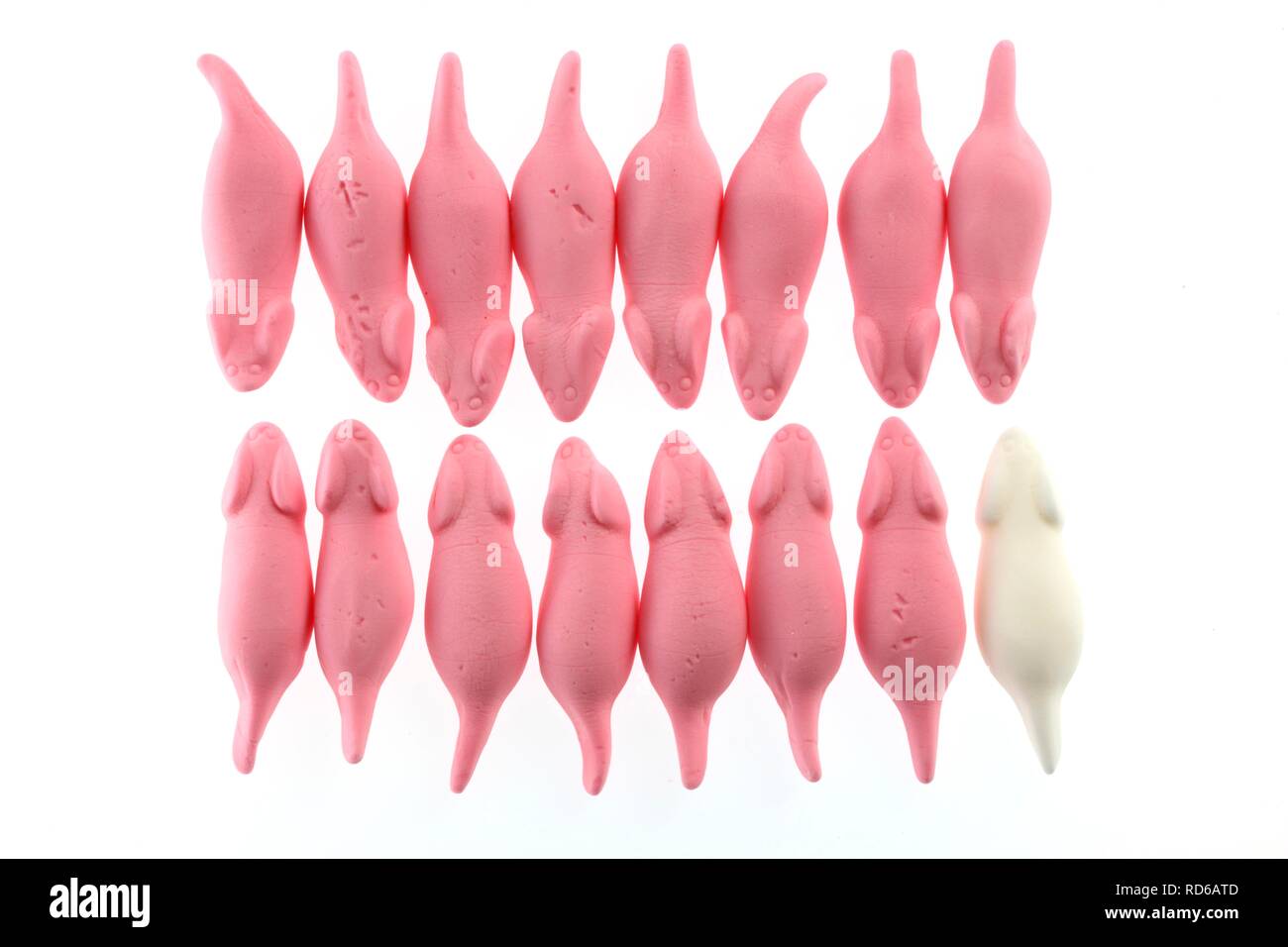 Sicht eines aussentstehenden -Fotos und -Bildmaterial in hoher ...