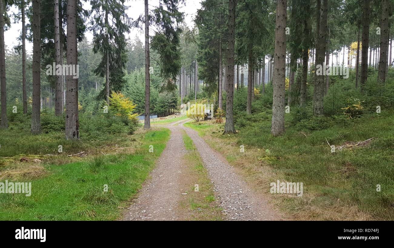 Kreuz 1 -Fotos und -Bildmaterial in hoher Auflösung – Alamy