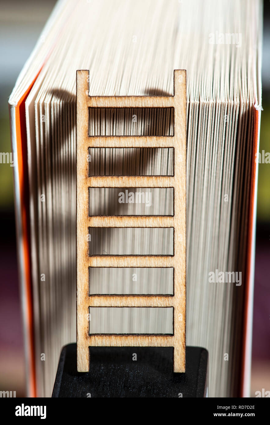 The ladder of fortune -Fotos und -Bildmaterial in hoher Auflösung – Alamy