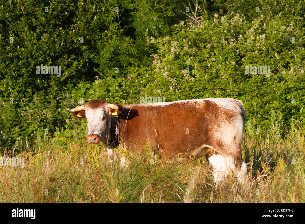 Transformation der farm -Fotos und -Bildmaterial in hoher Auflösung – Alamy
