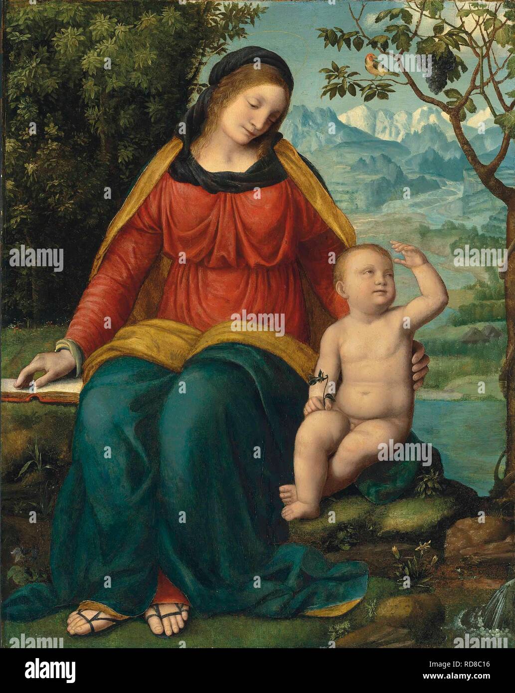 Madonna del grappolo -Fotos und -Bildmaterial in hoher Auflösung – Alamy