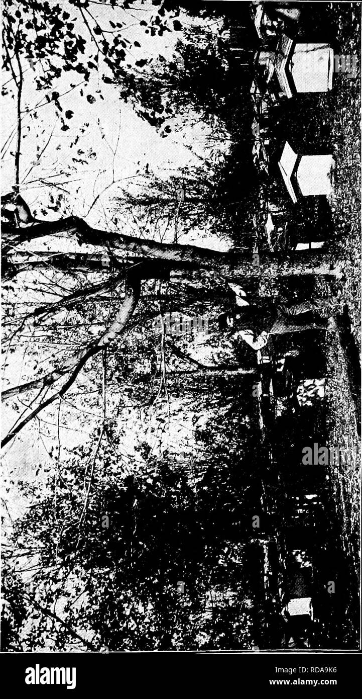 Lorenzo langstroth -Fotos und -Bildmaterial in hoher Auflösung – Alamy