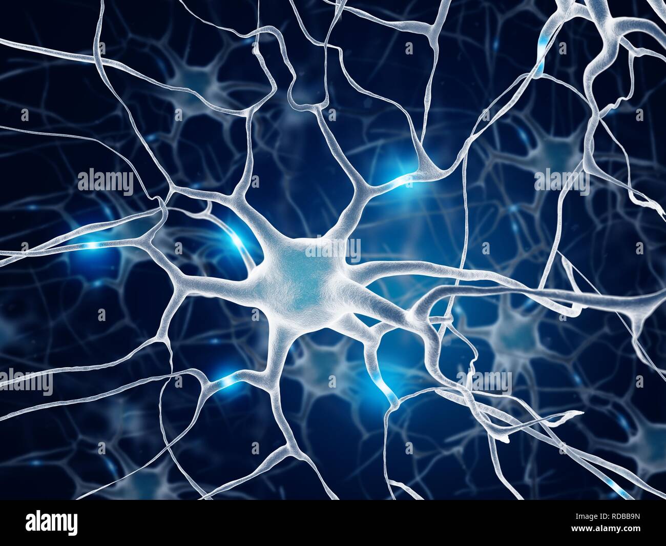 3d neuron -Fotos und -Bildmaterial in hoher Auflösung – Alamy