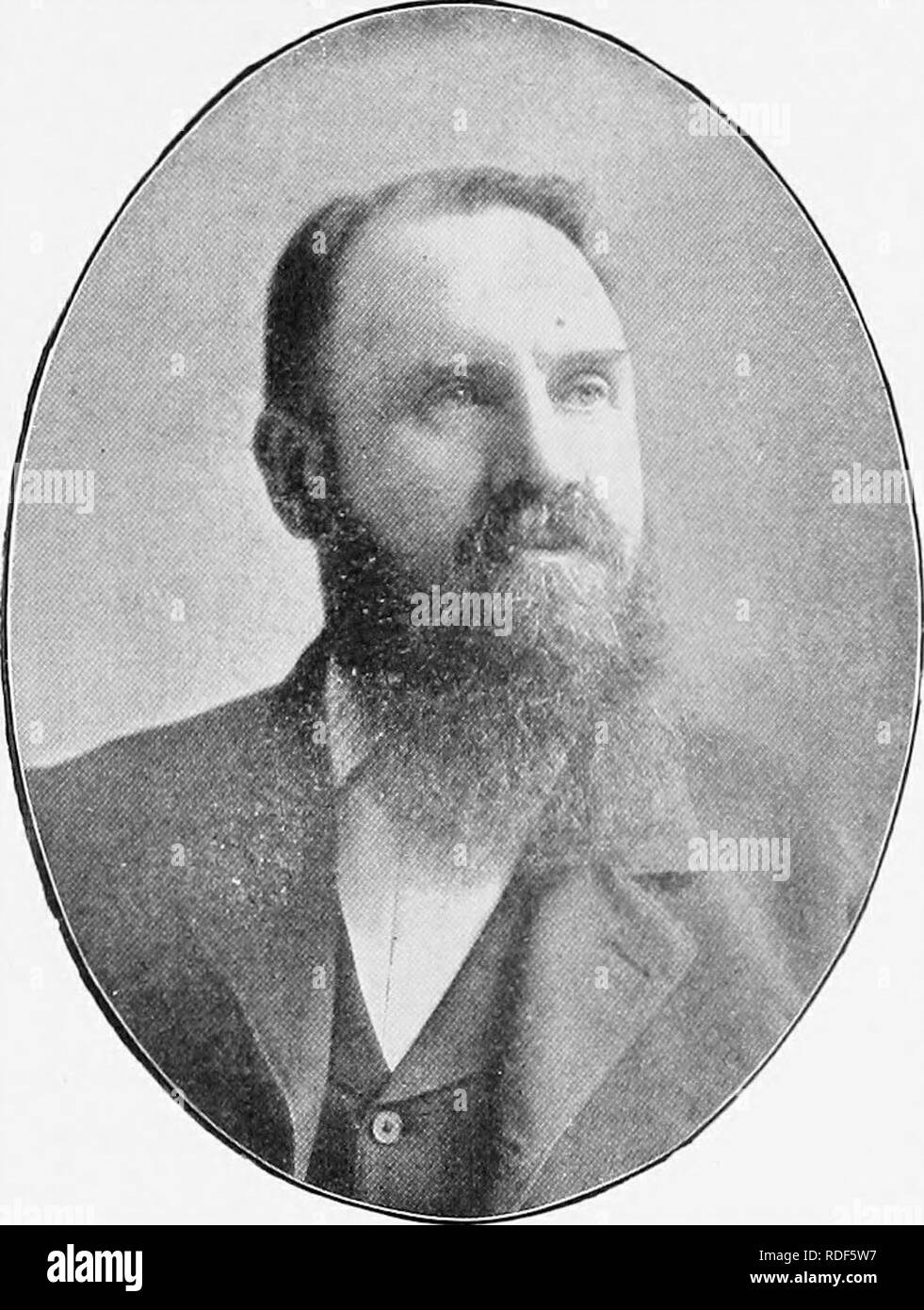 . Langstroth auf dem Hive und Honig-Biene. Bienen. Platte 20.. G.M ...