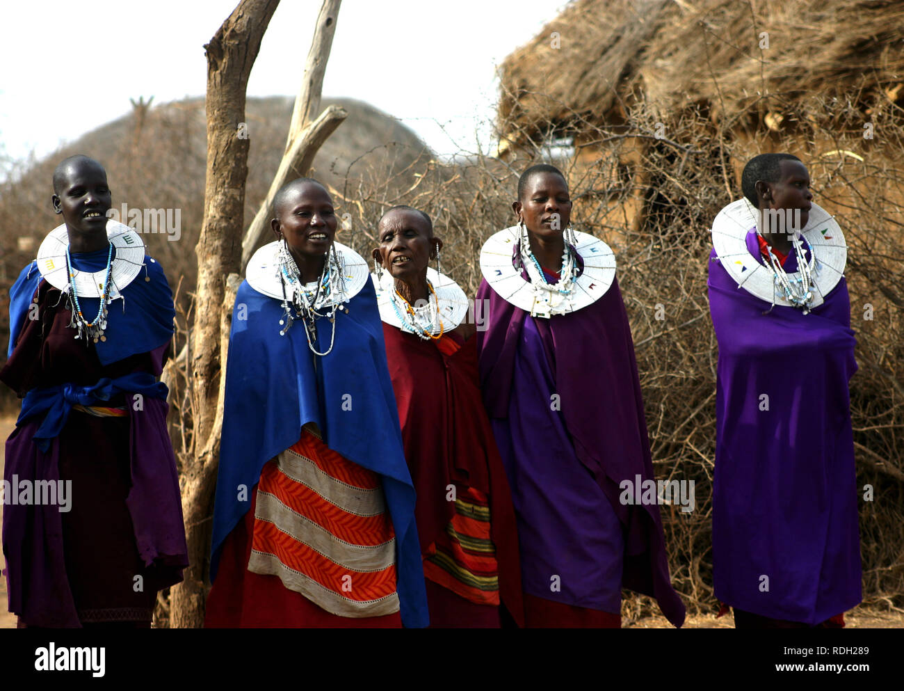 Masai warriors, jumping -Fotos und -Bildmaterial in hoher Auflösung – Alamy