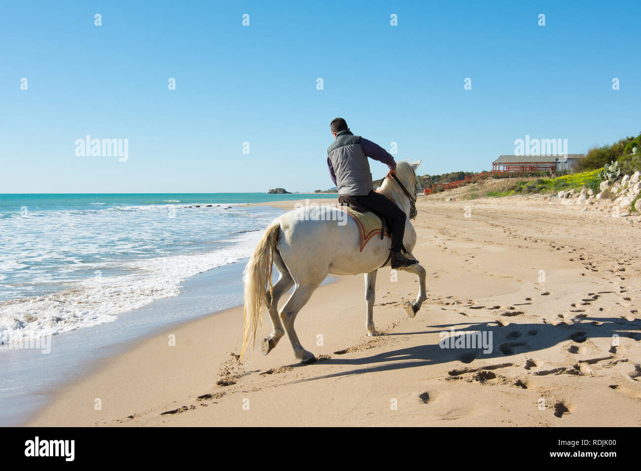 Wasser reiten reiten strand meer -Fotos und -Bildmaterial in hoher ...