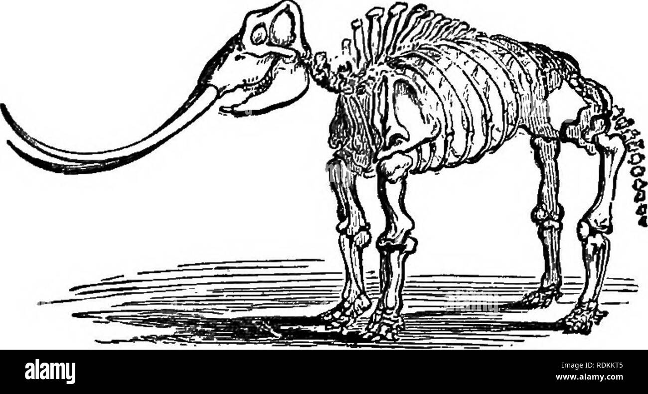 Sivalik hills -Fotos und -Bildmaterial in hoher Auflösung – Alamy