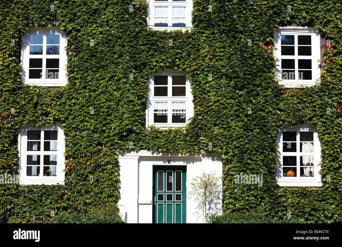 Fassaden kletterer -Fotos und -Bildmaterial in hoher Auflösung – Alamy