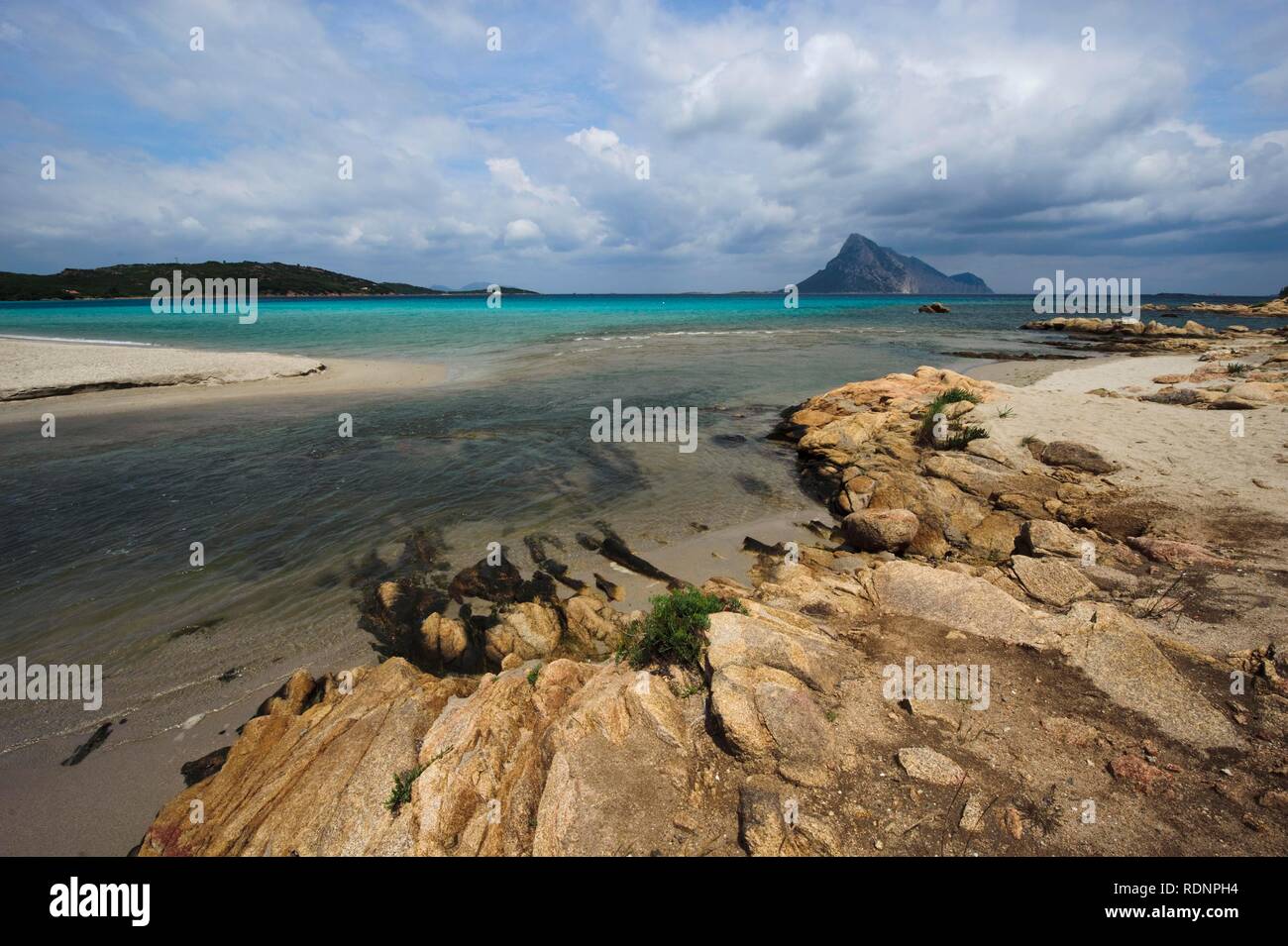 Tavolara strand -Fotos und -Bildmaterial in hoher Auflösung – Alamy