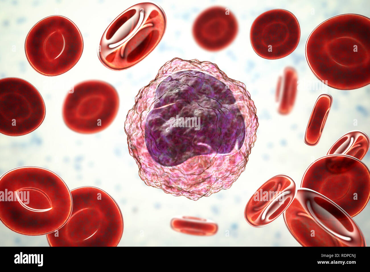 Zellkern In Stockfotos und -bilder Kaufen - Alamy