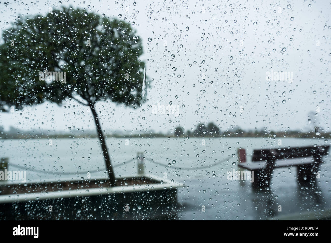 Regnerisch stürmisch herbst -Fotos und -Bildmaterial in hoher Auflösung ...