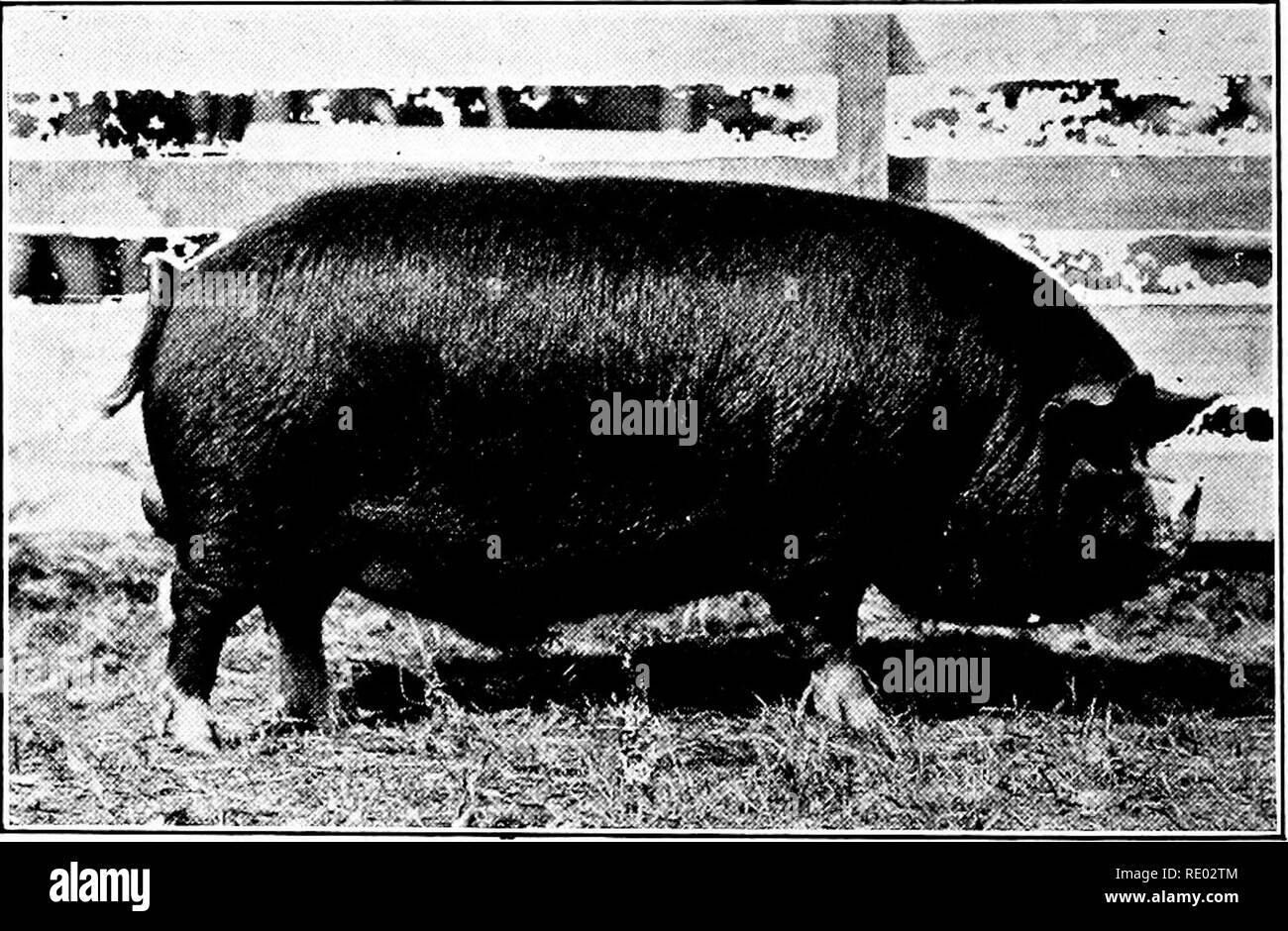 . Die Natur und die Landwirtschaft. Natur Studie; Landwirtschaft. 368 ...