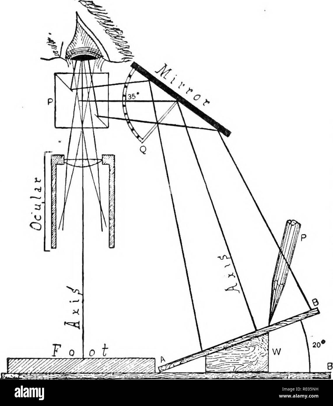 Camera lucida microscope -Fotos und -Bildmaterial in hoher Auflösung ...
