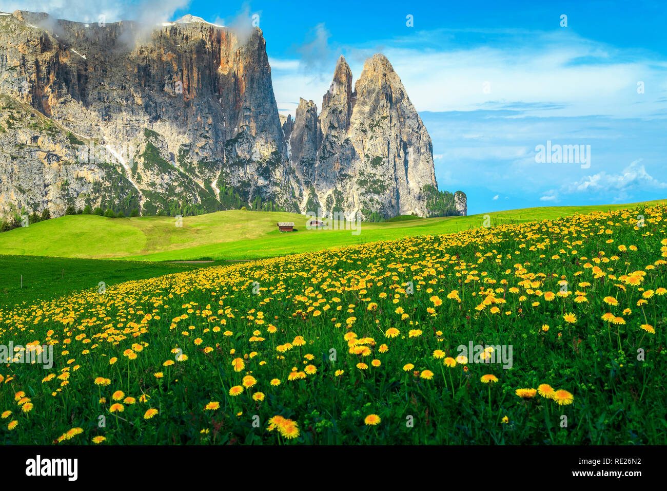 Seiser alm summer -Fotos und -Bildmaterial in hoher Auflösung – Alamy