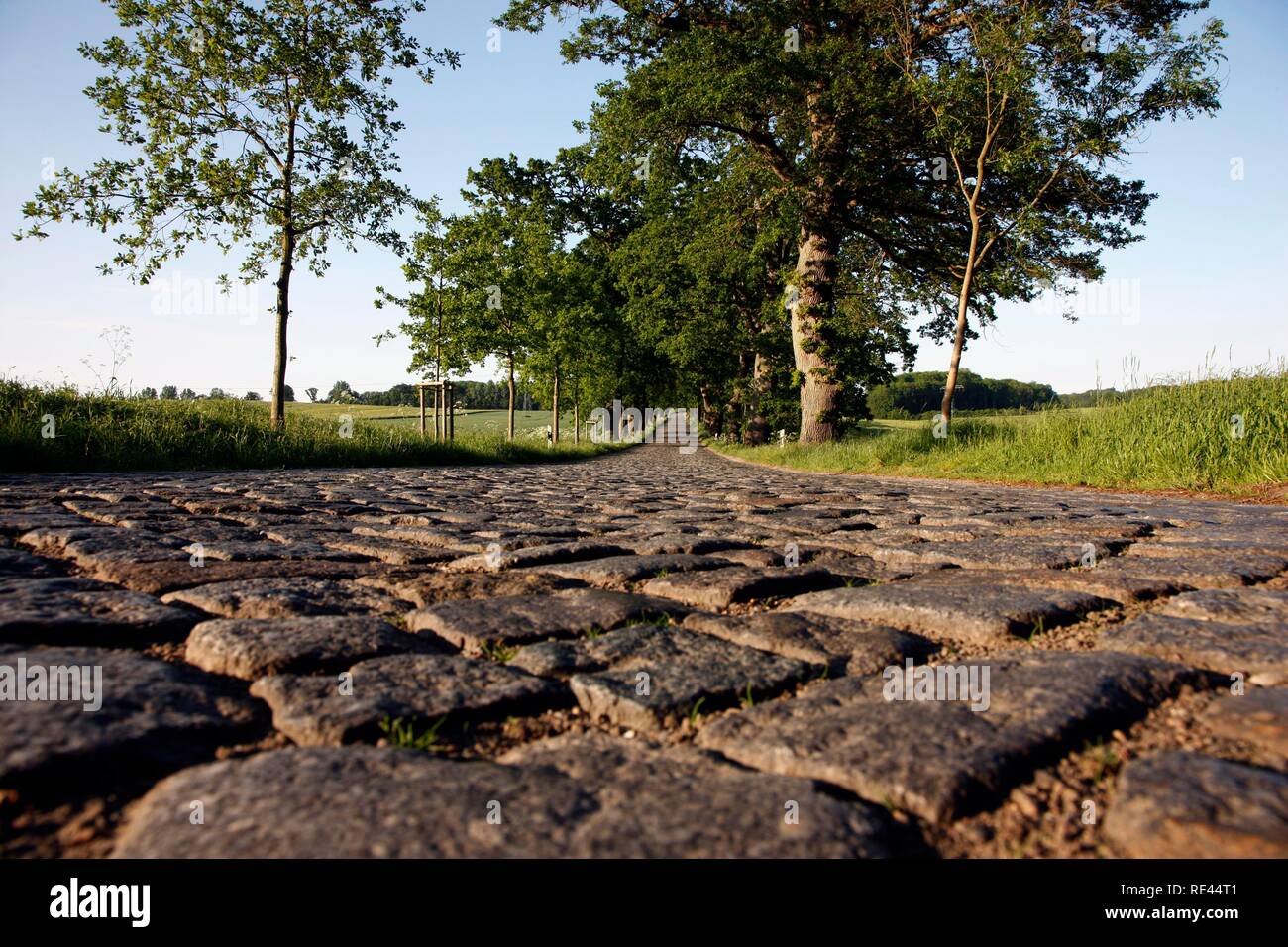 Deutsche alleenstrasse Stockfotos und -bilder Kaufen - Alamy
