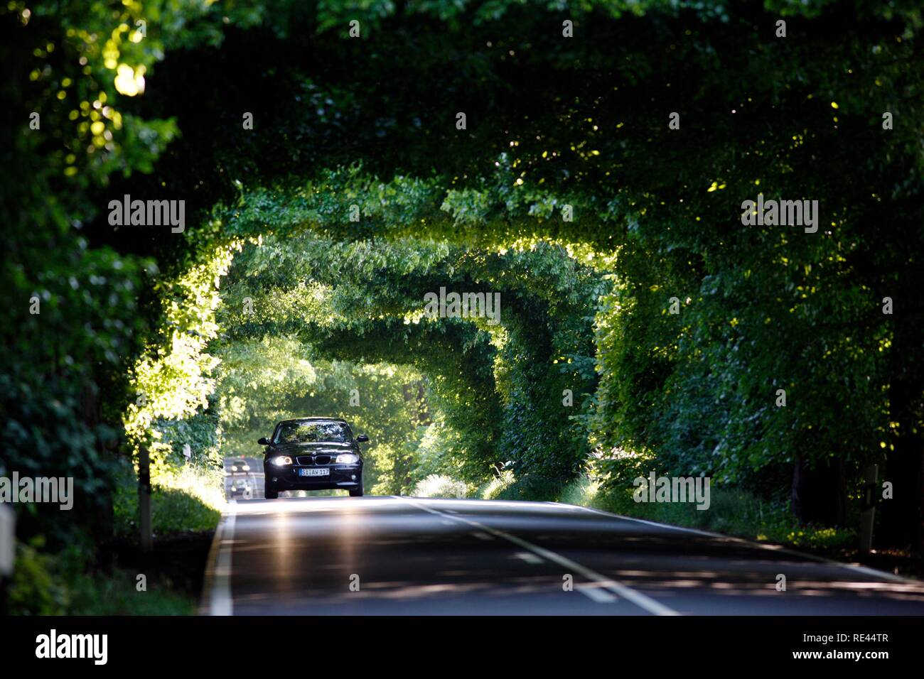 Ostdeutsche automobile -Fotos und -Bildmaterial in hoher Auflösung – Alamy