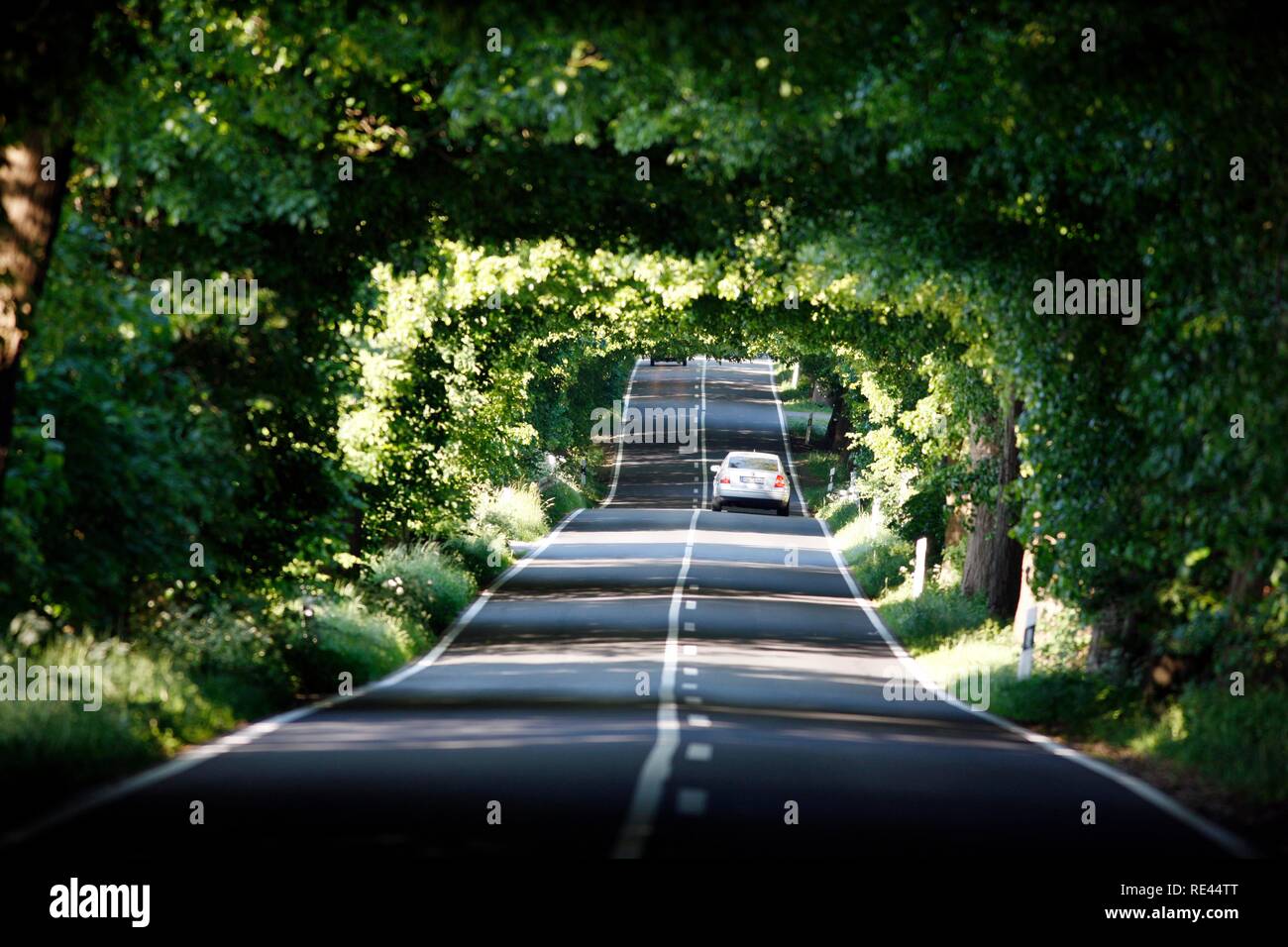 Deutsche alleenstrasse Stockfotos und -bilder Kaufen - Alamy