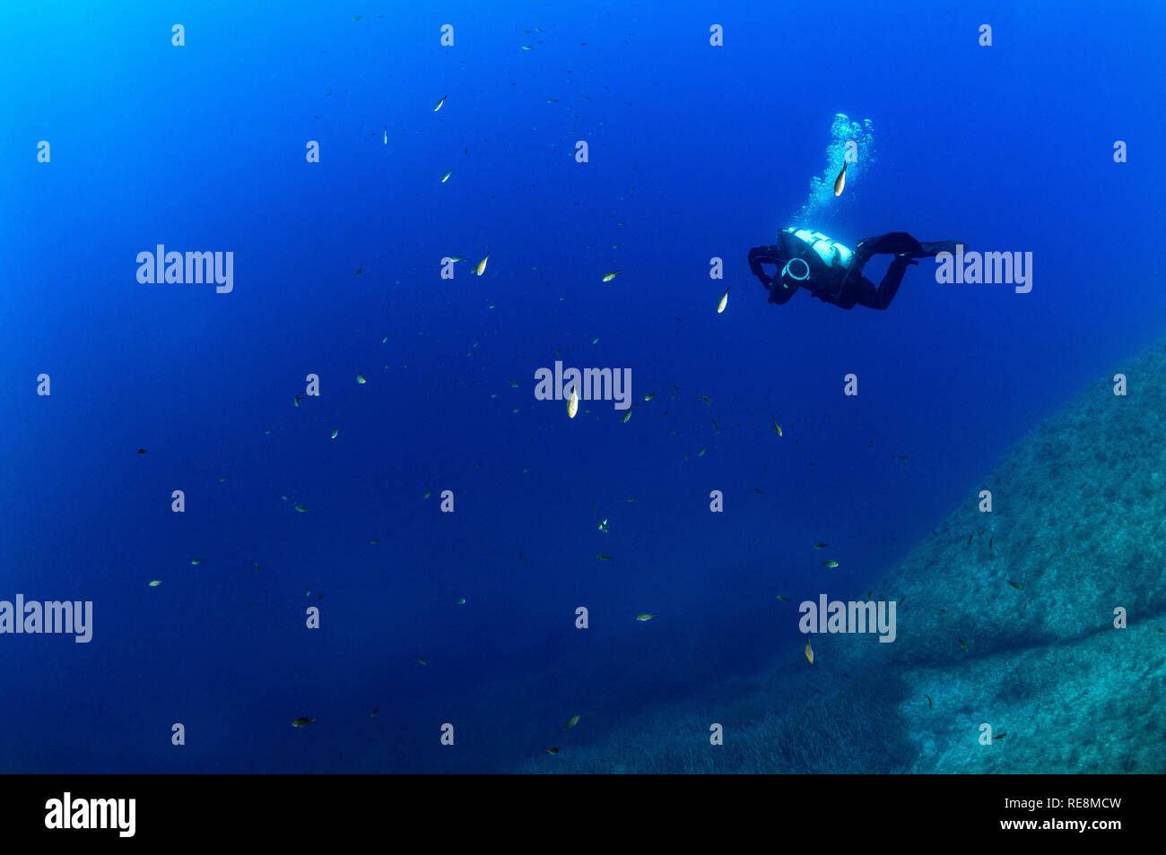 Gozo tauchen -Fotos und -Bildmaterial in hoher Auflösung – Alamy