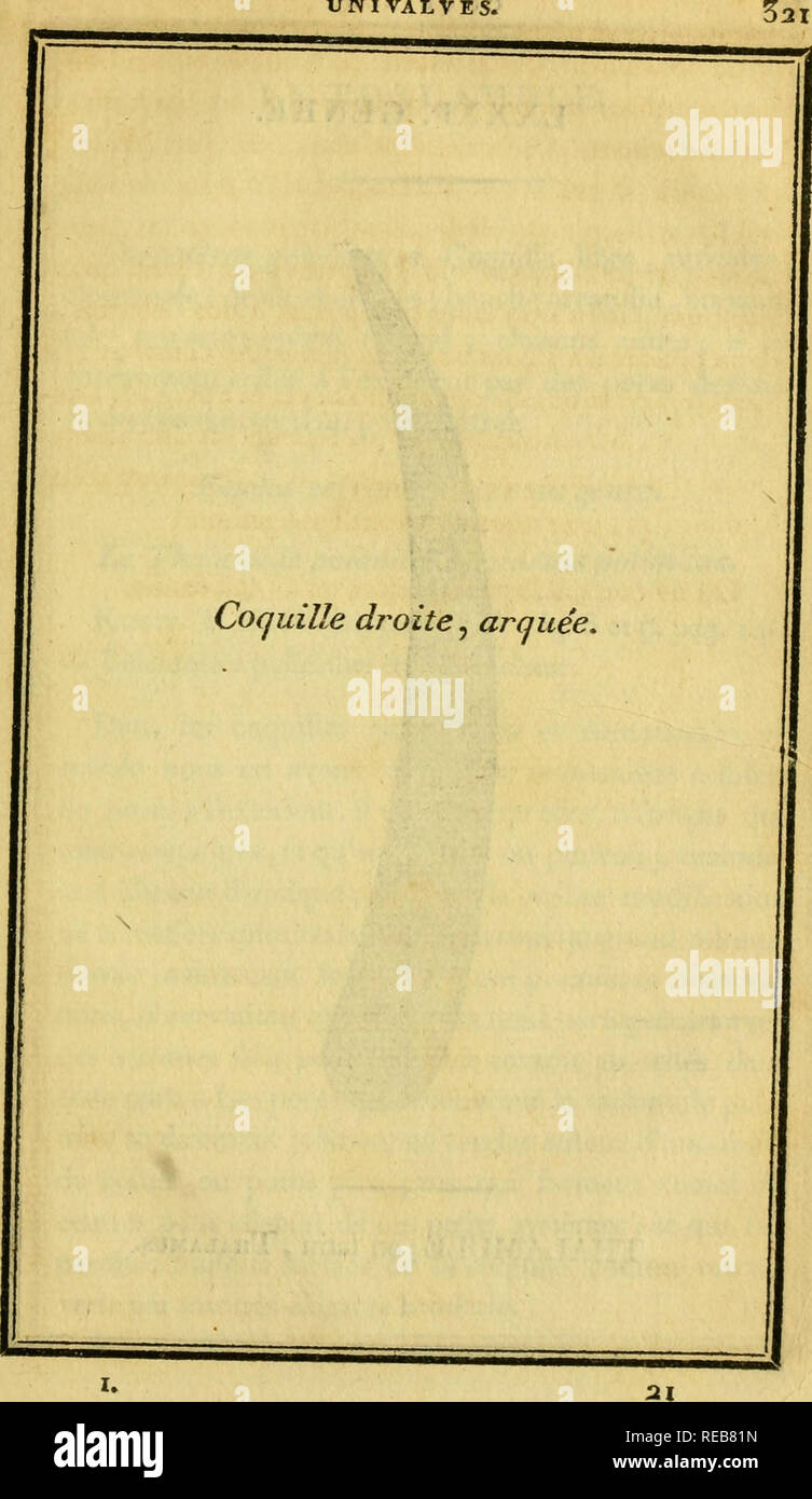 . Conchyliologie systématique, et Klassifizierung méthodique des ...
