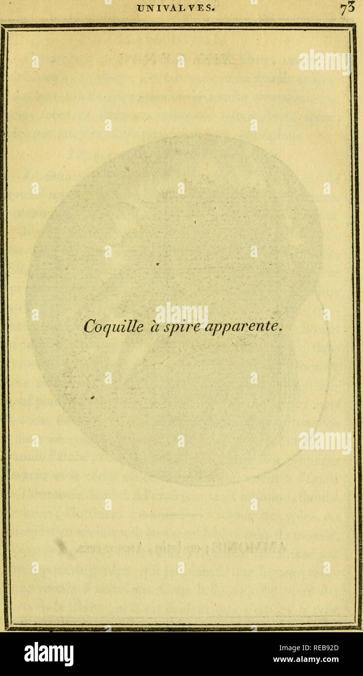 . Conchyliologie systématique, et Klassifizierung méthodique des ...