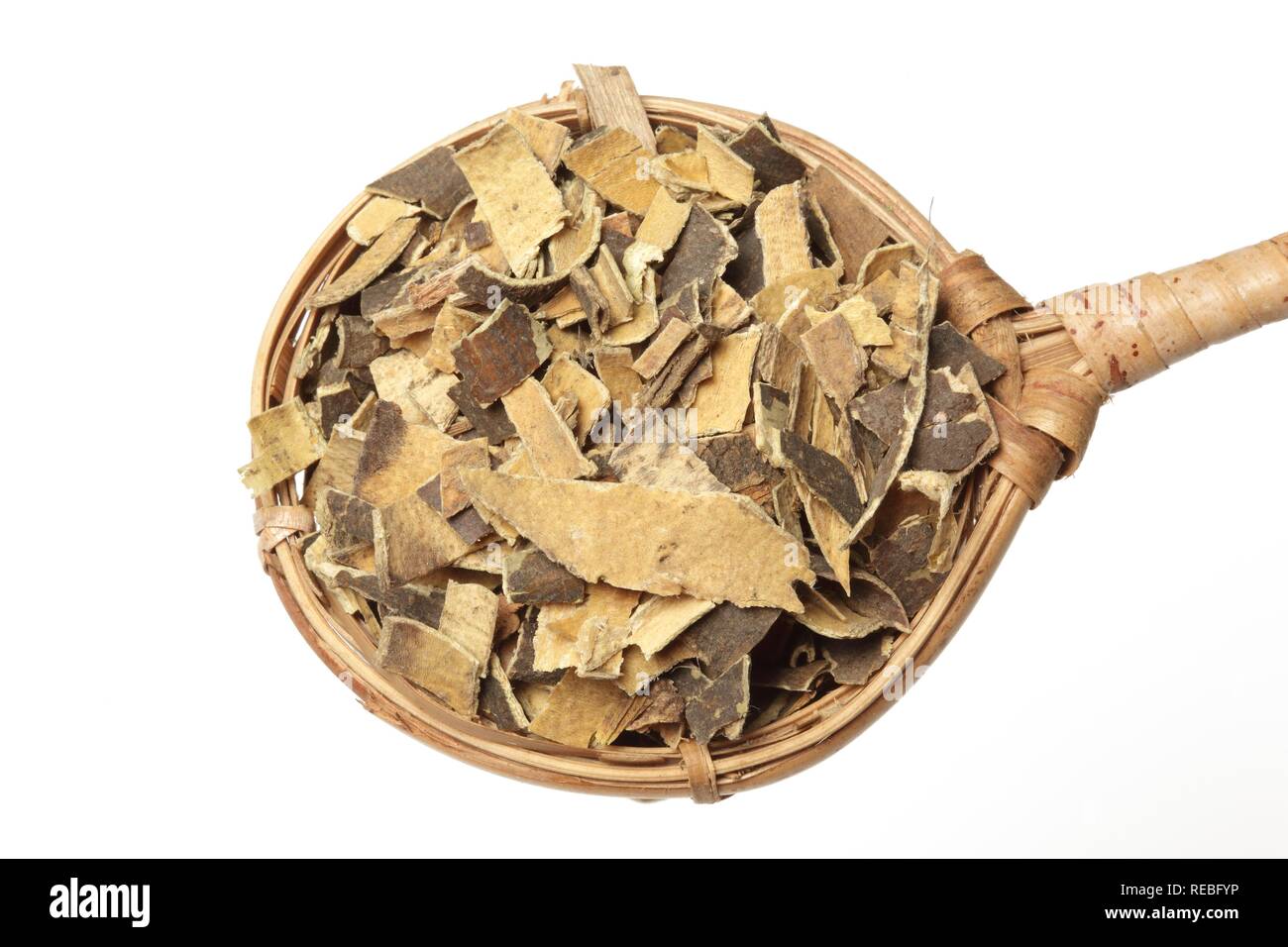 Bark fraxinus -Fotos und -Bildmaterial in hoher Auflösung – Alamy