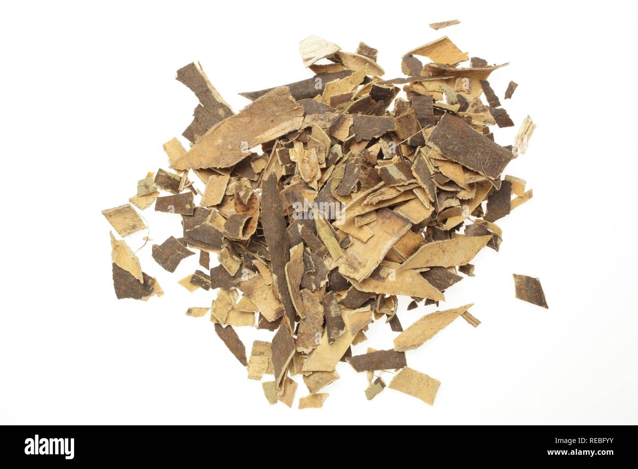 Bark fraxinus -Fotos und -Bildmaterial in hoher Auflösung – Alamy