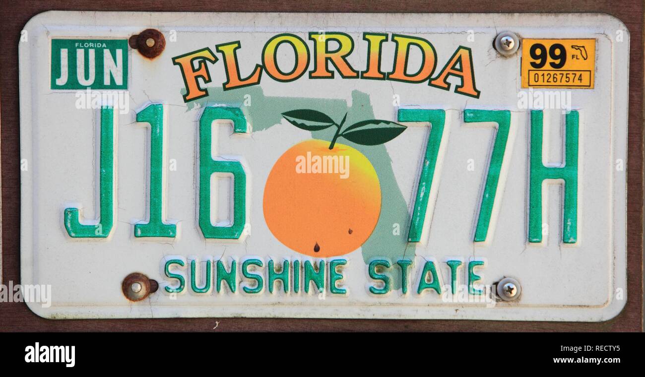 Number plate florida -Fotos und -Bildmaterial in hoher Auflösung – Alamy