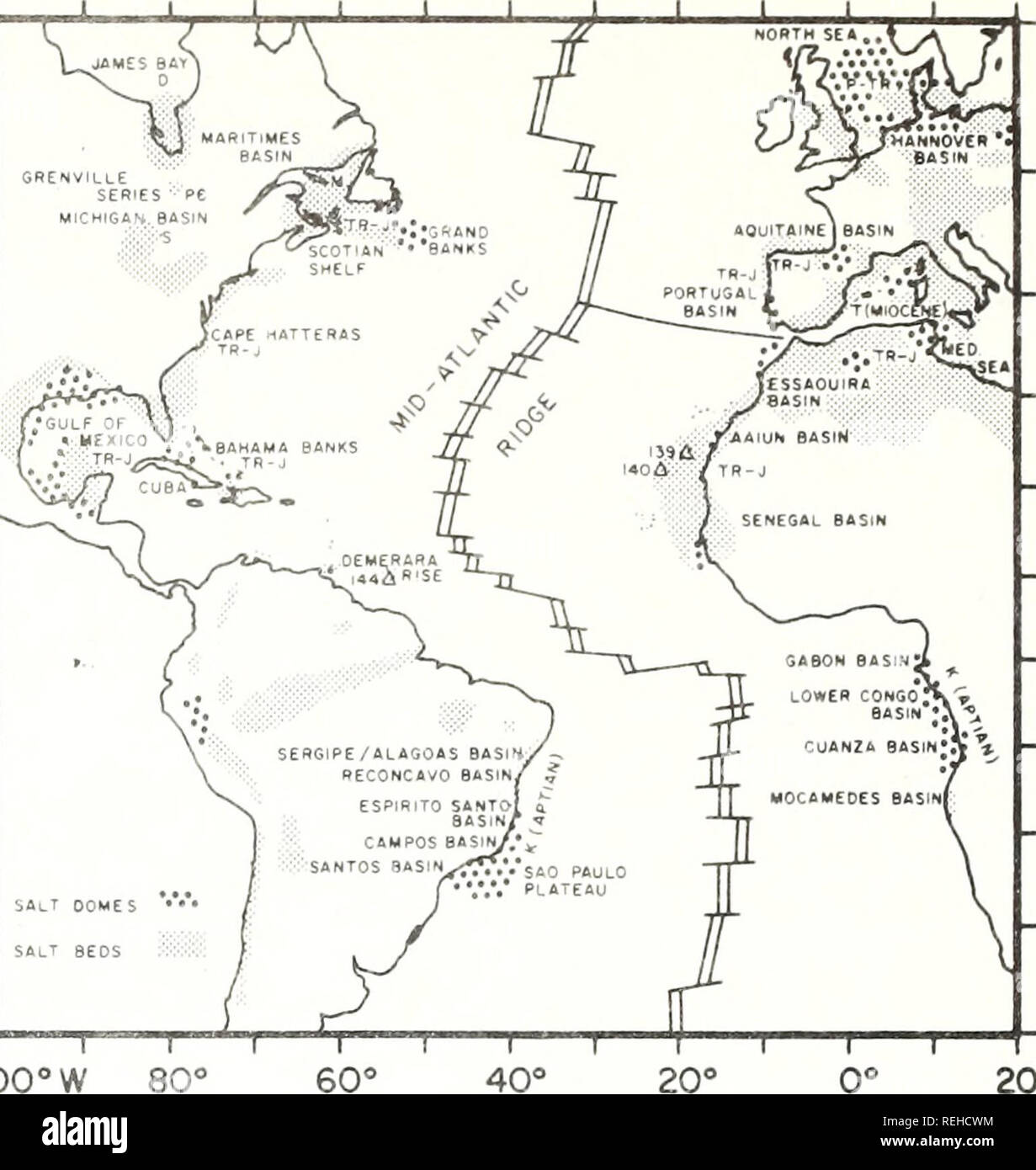 Marine regression -Fotos und -Bildmaterial in hoher Auflösung – Alamy