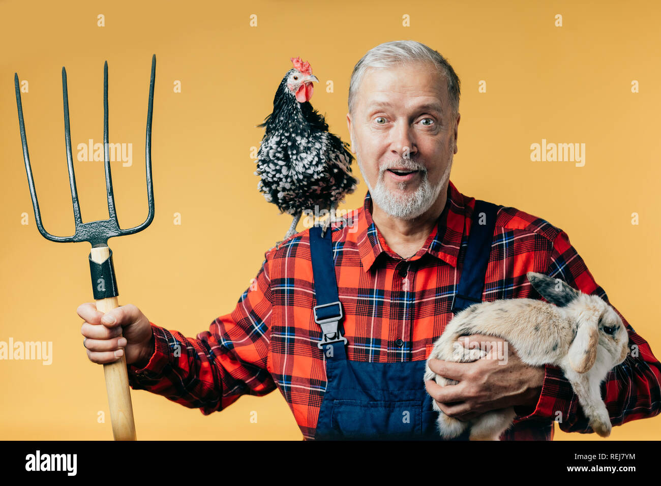 Der lustige bauer -Fotos und -Bildmaterial in hoher Auflösung – Alamy