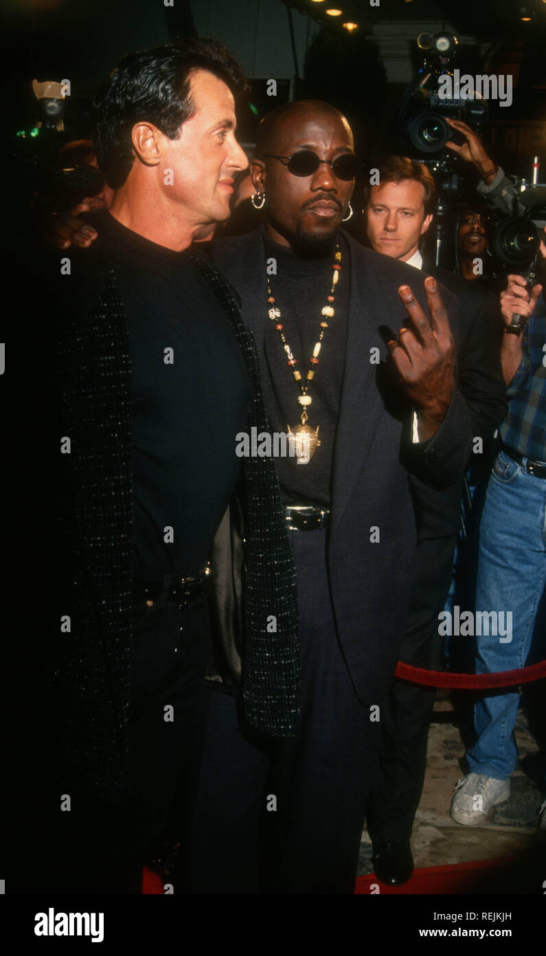 Westwood Ca 7 Oktober Schauspieler Sylvester Stallone Und