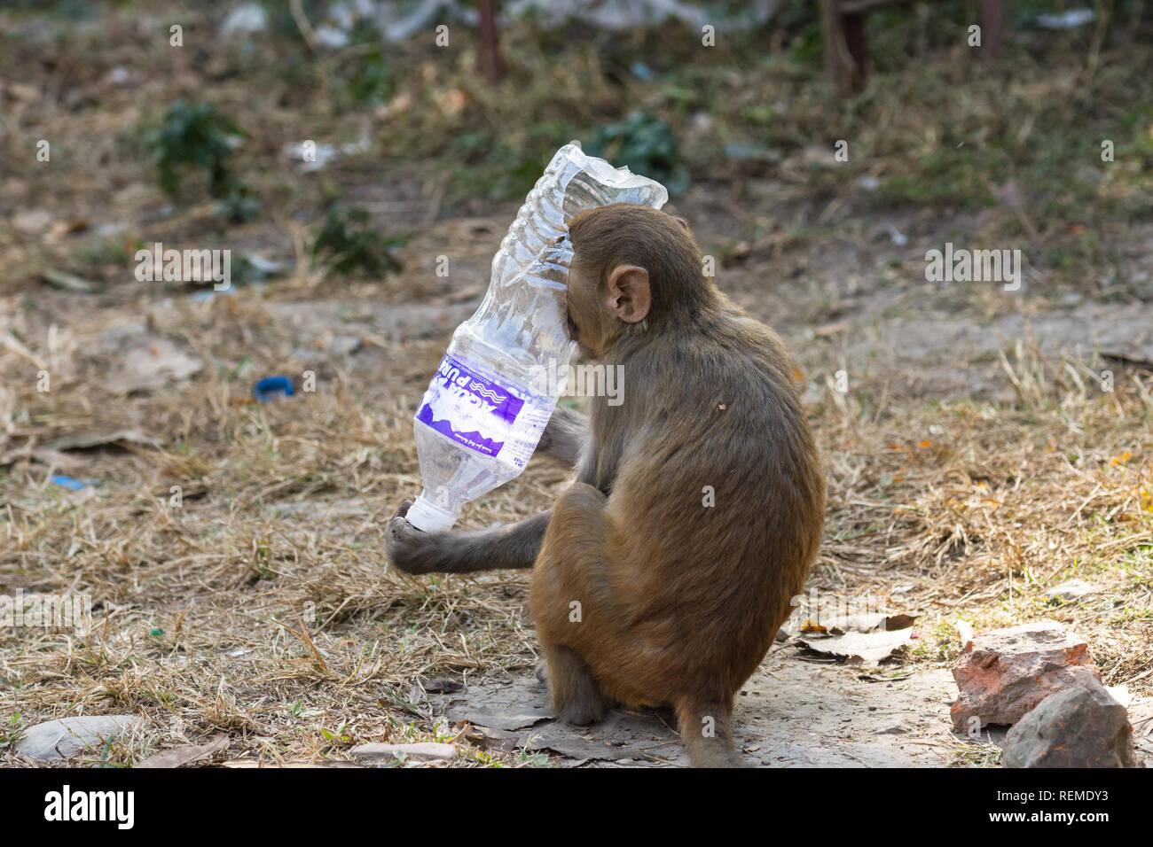 Nepal water pollution waste -Fotos und -Bildmaterial in hoher Auflösung ...
