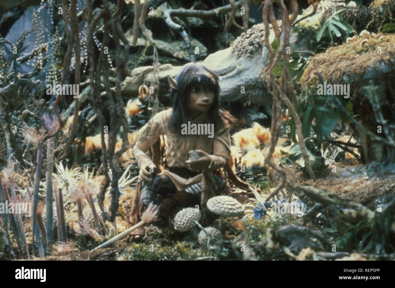 Der dunkle Kristall Jahr: 1982 USA Regie: Jim Henson, Frank Oz ...