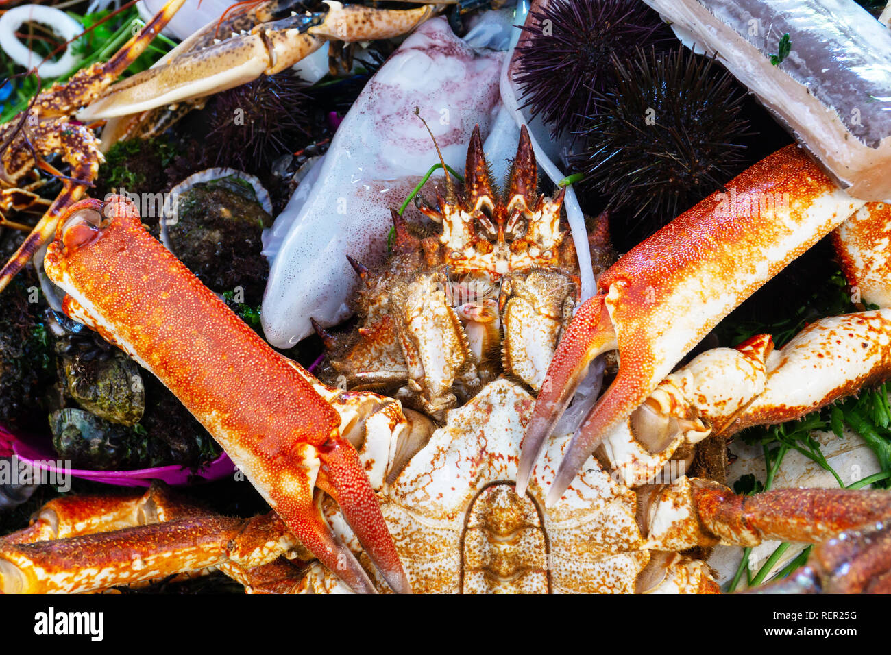 Seeigel essen -Fotos und -Bildmaterial in hoher Auflösung – Alamy