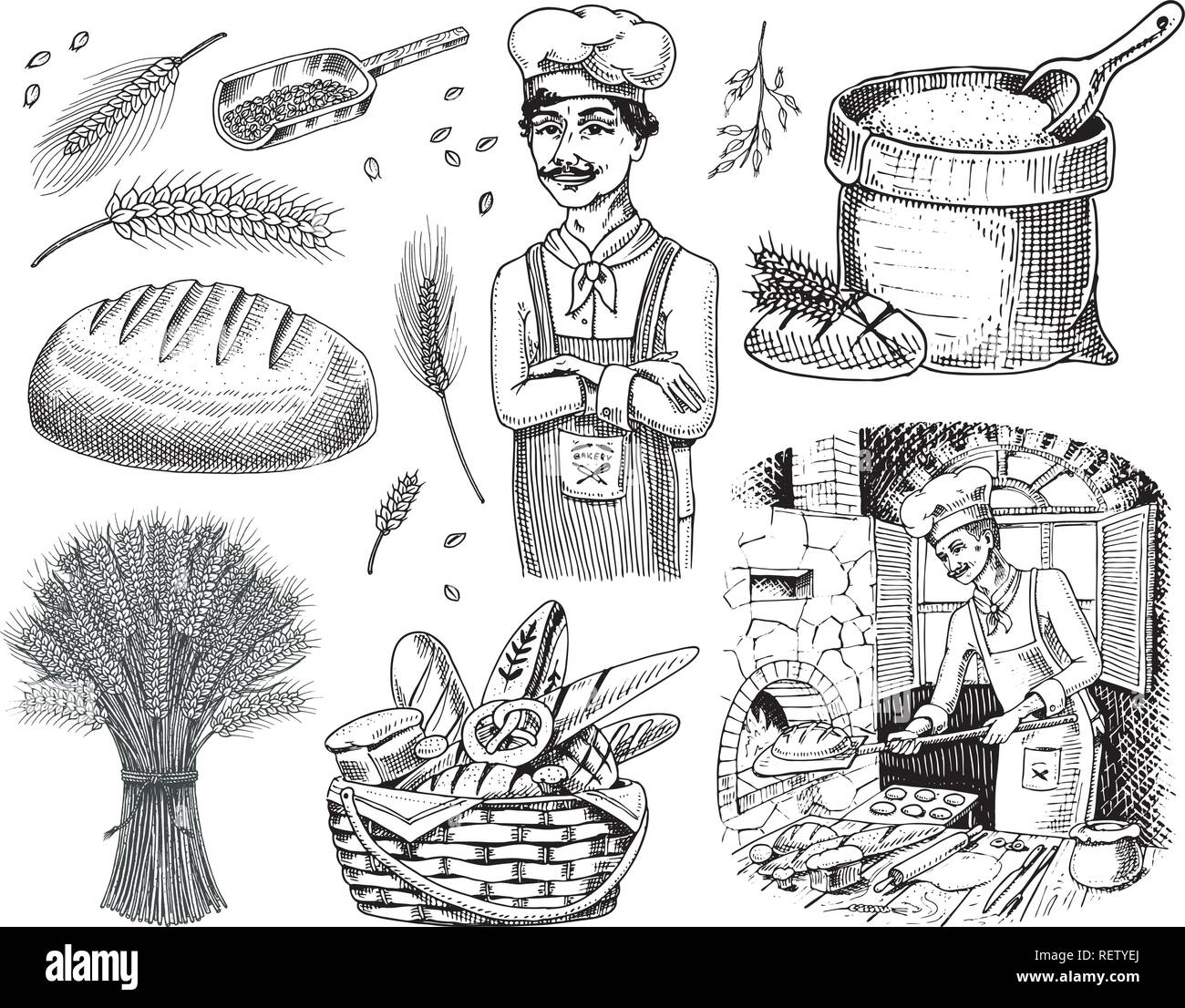 Satz von Weizen und Getreide. Bäcker und Konditor Köche in den Backofen ...