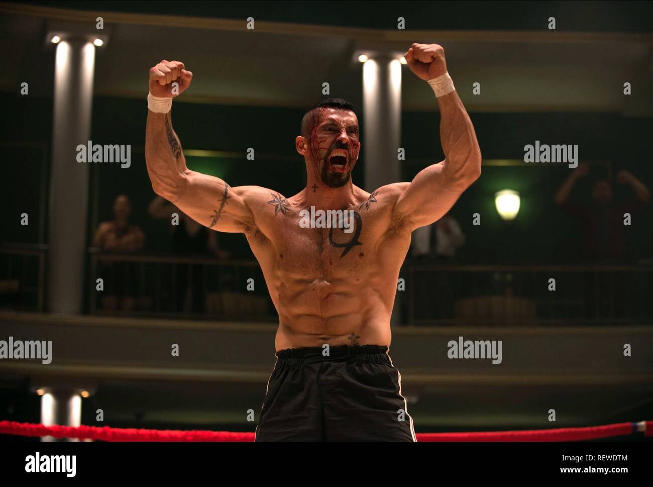 Scott Adkins Boyka Stockfotos und -bilder Kaufen - Alamy