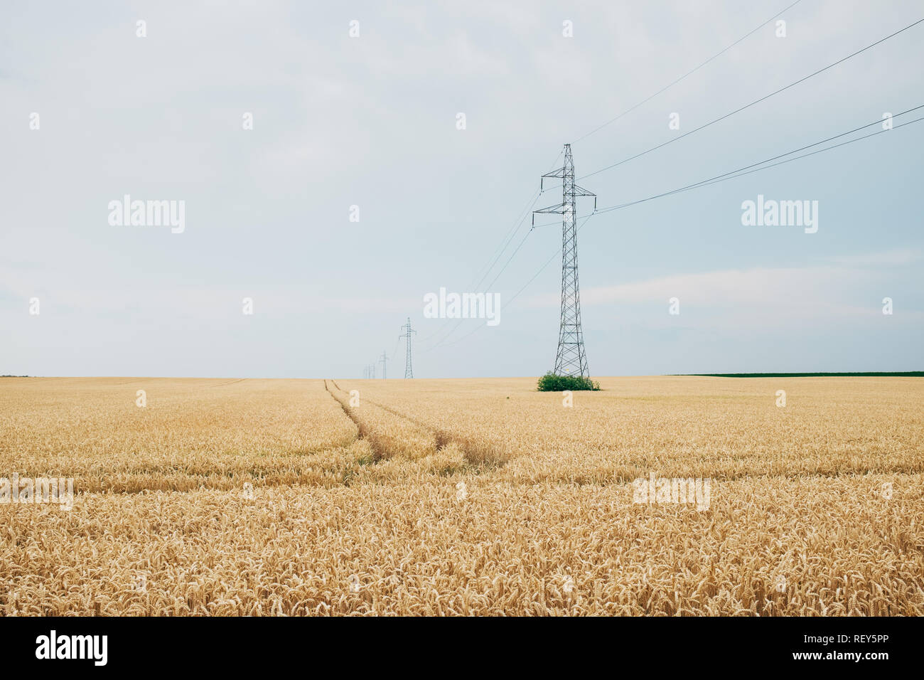 Elektrische leitungen auf landschaft Stockfotos und -bilder Kaufen - Alamy