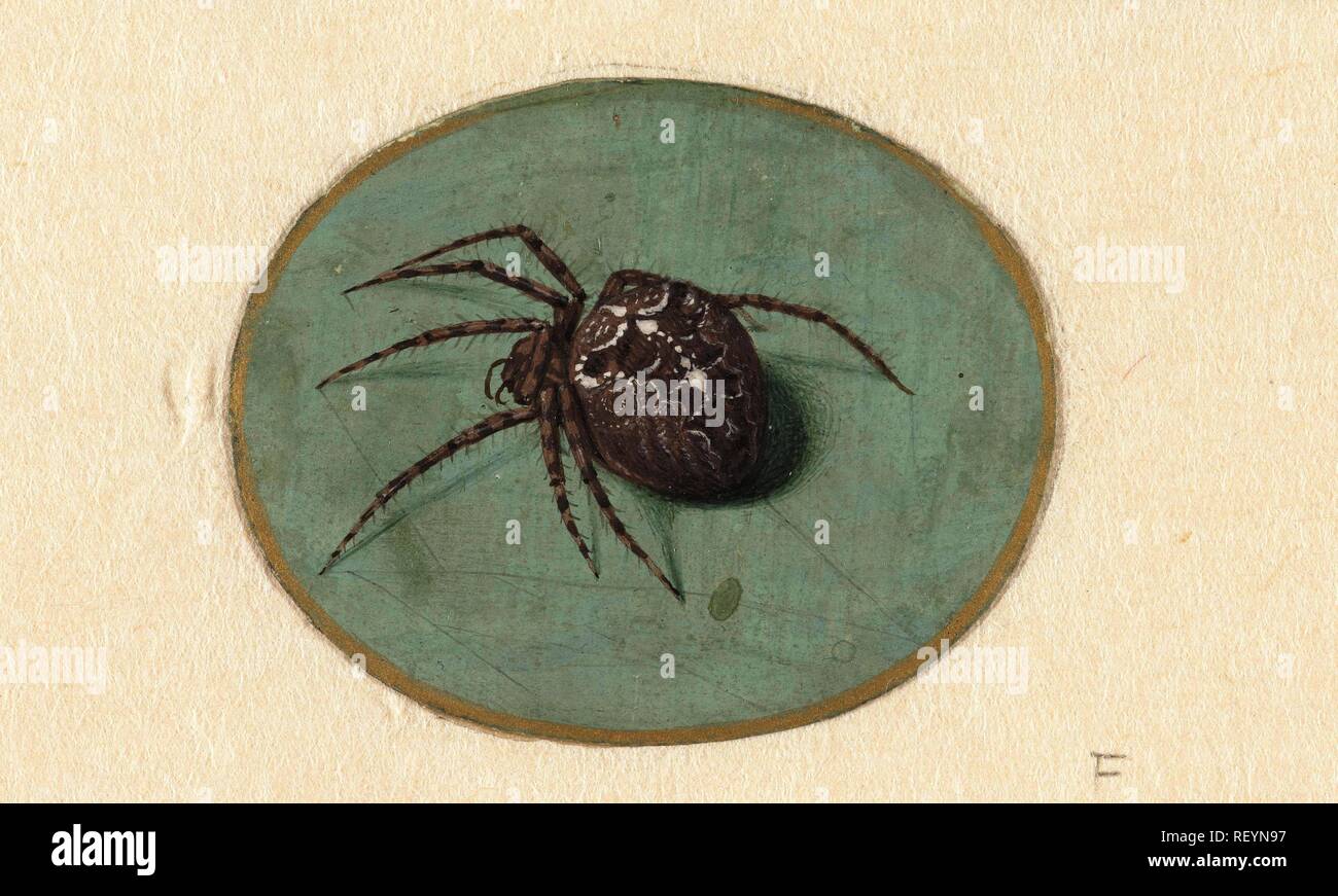 Der geht -Fotos und -Bildmaterial in hoher Auflösung – Alamy