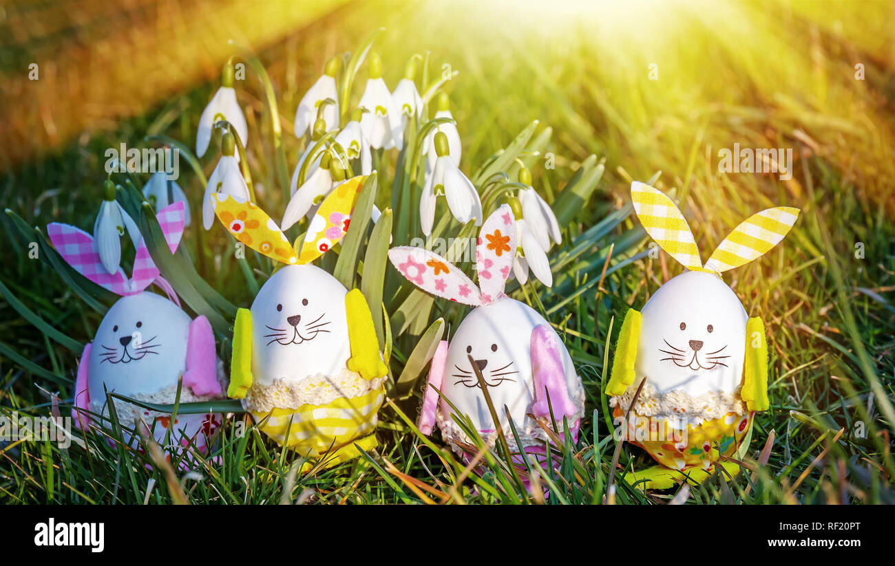 Osterhase eier -Fotos und -Bildmaterial in hoher Auflösung – Alamy