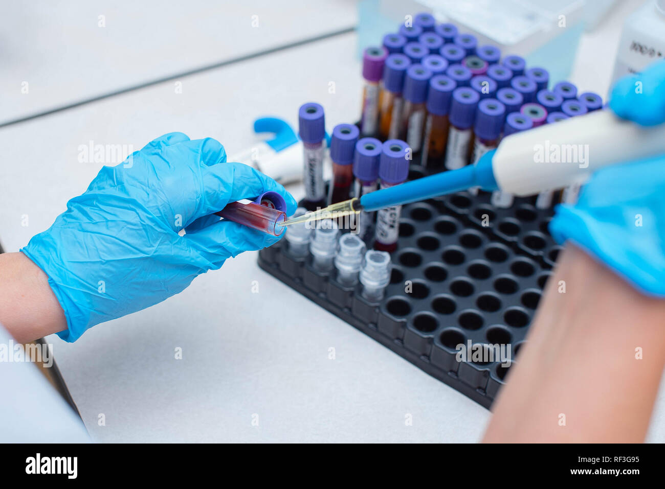 Prenatal Development Stockfotos und -bilder Kaufen - Alamy